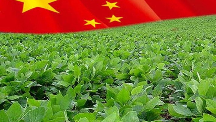 China Agriculture Ministry: No Approval for Monsanto's RR2 Xtend GMO ...