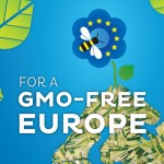 EU Parliament Votes 'Yes' on GMO Opt-Out for Member States ...