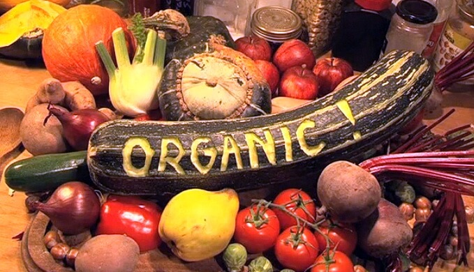 Organic Food Consumption Lowers Overall Cancer Risks in Large-Scale ...