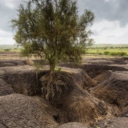 Human Activities Have Degraded 40% of Land on Earth - UN Report ...