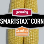 EU Commission Allows GM Maize SmartStax for Food and Feed - Sustainable ...
